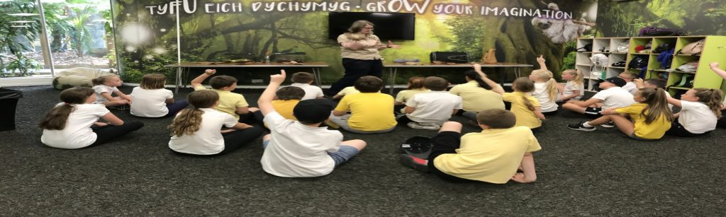 Crynallt Primary School – Bringing WordPress to education