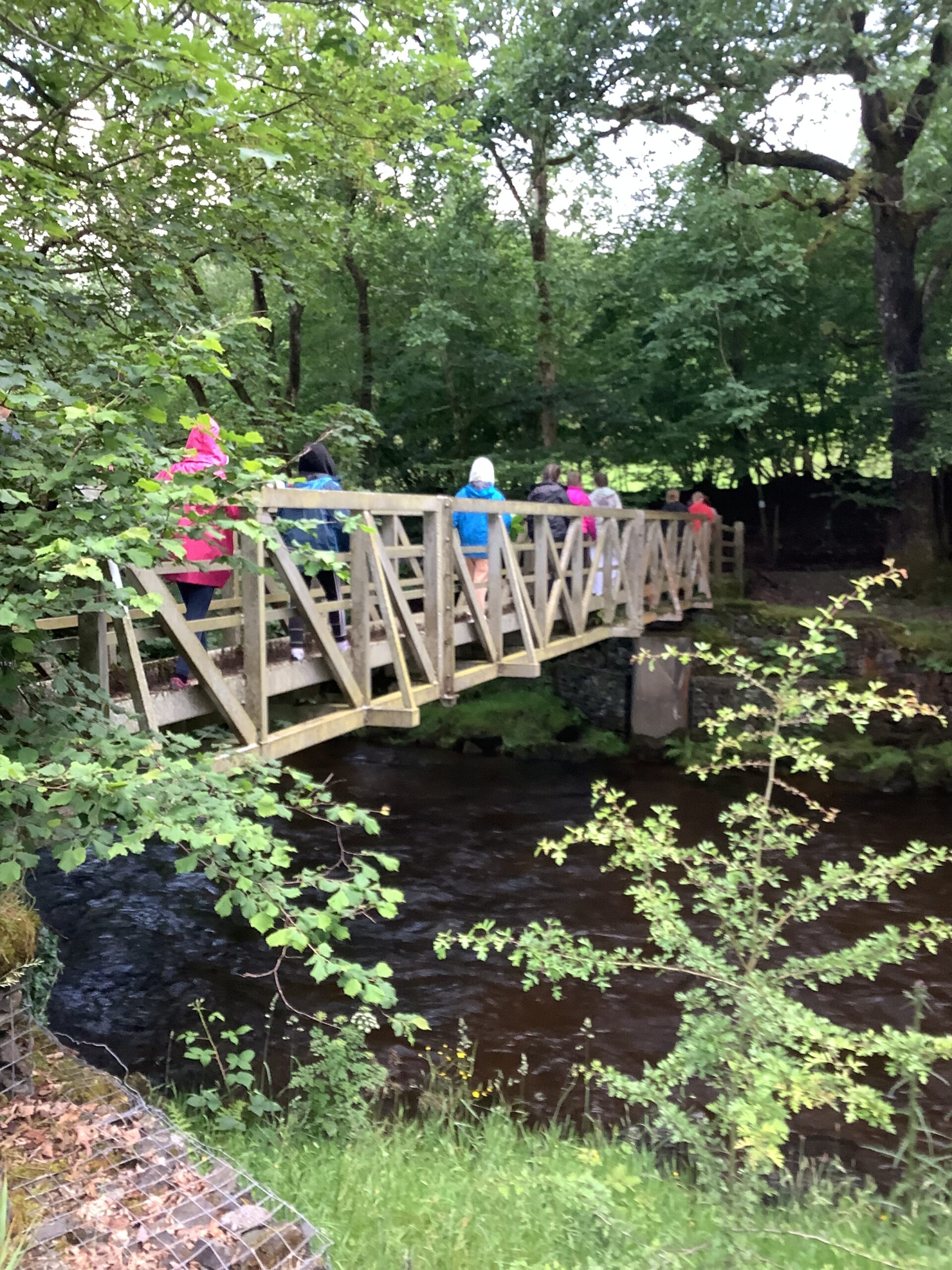 Evening Walk – Tonnau Primary School