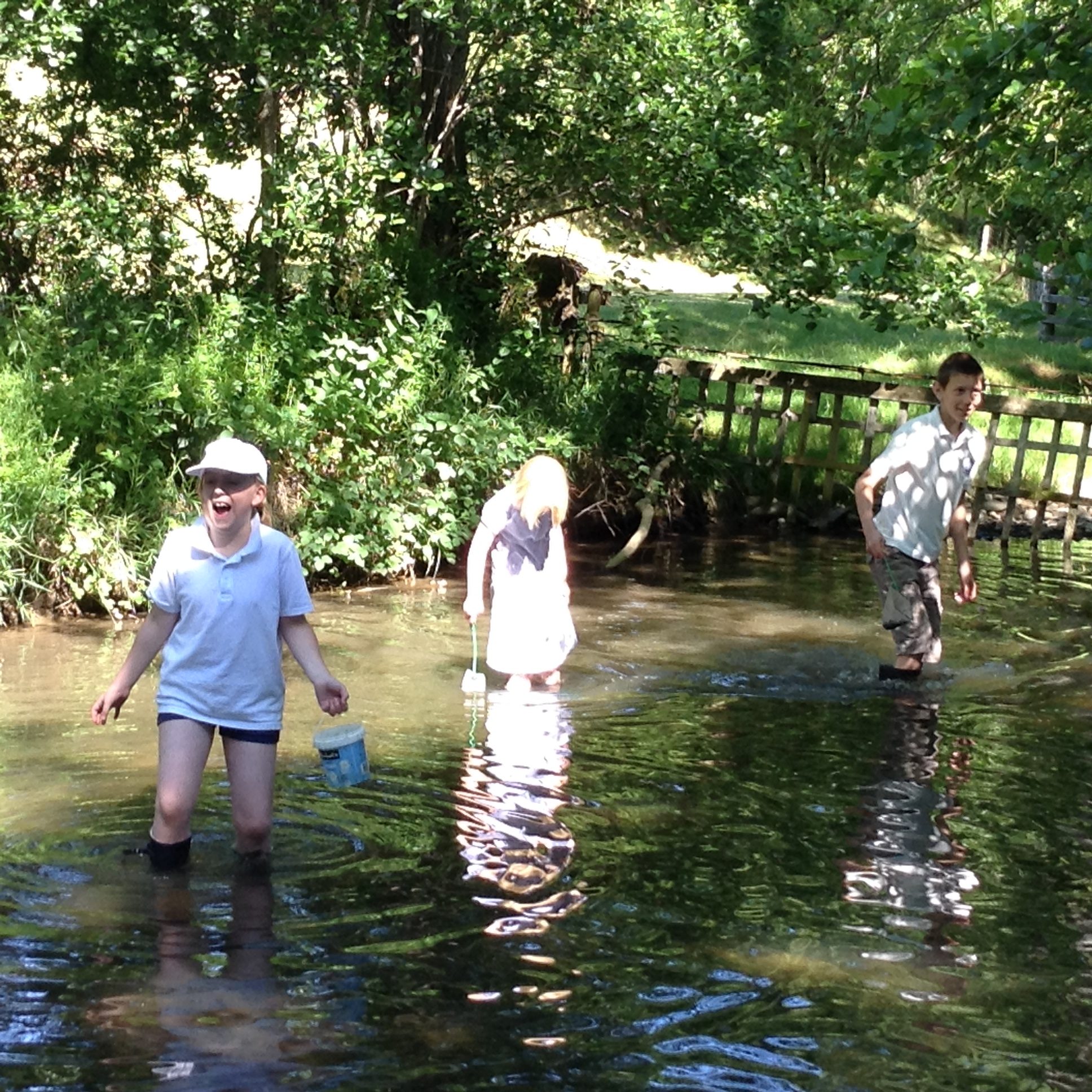 Class Two Field Trip to The River Edw/ Taith Dosbarth Dau i’r Afon Edw ...