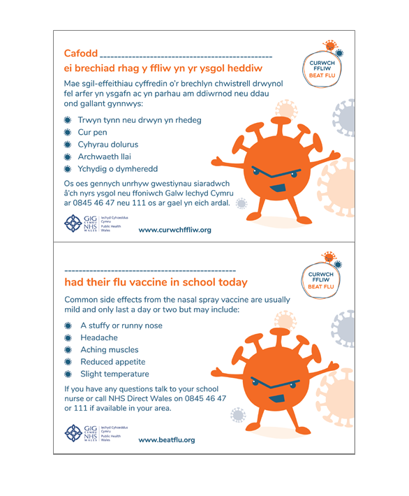 Flu Information – Trallwn Primary School