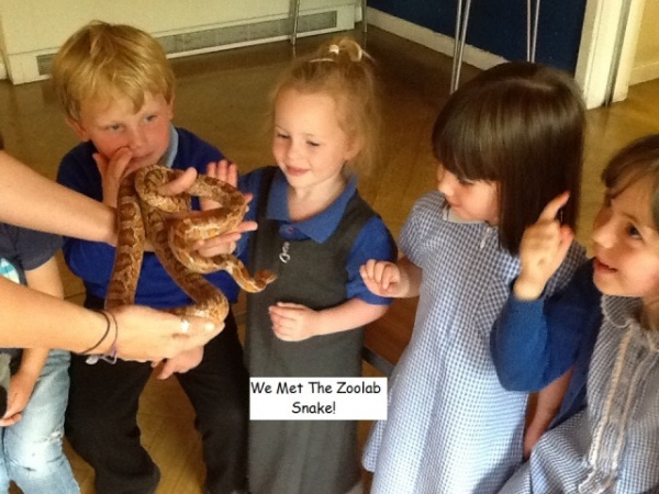 Llangattock CIW Primary School